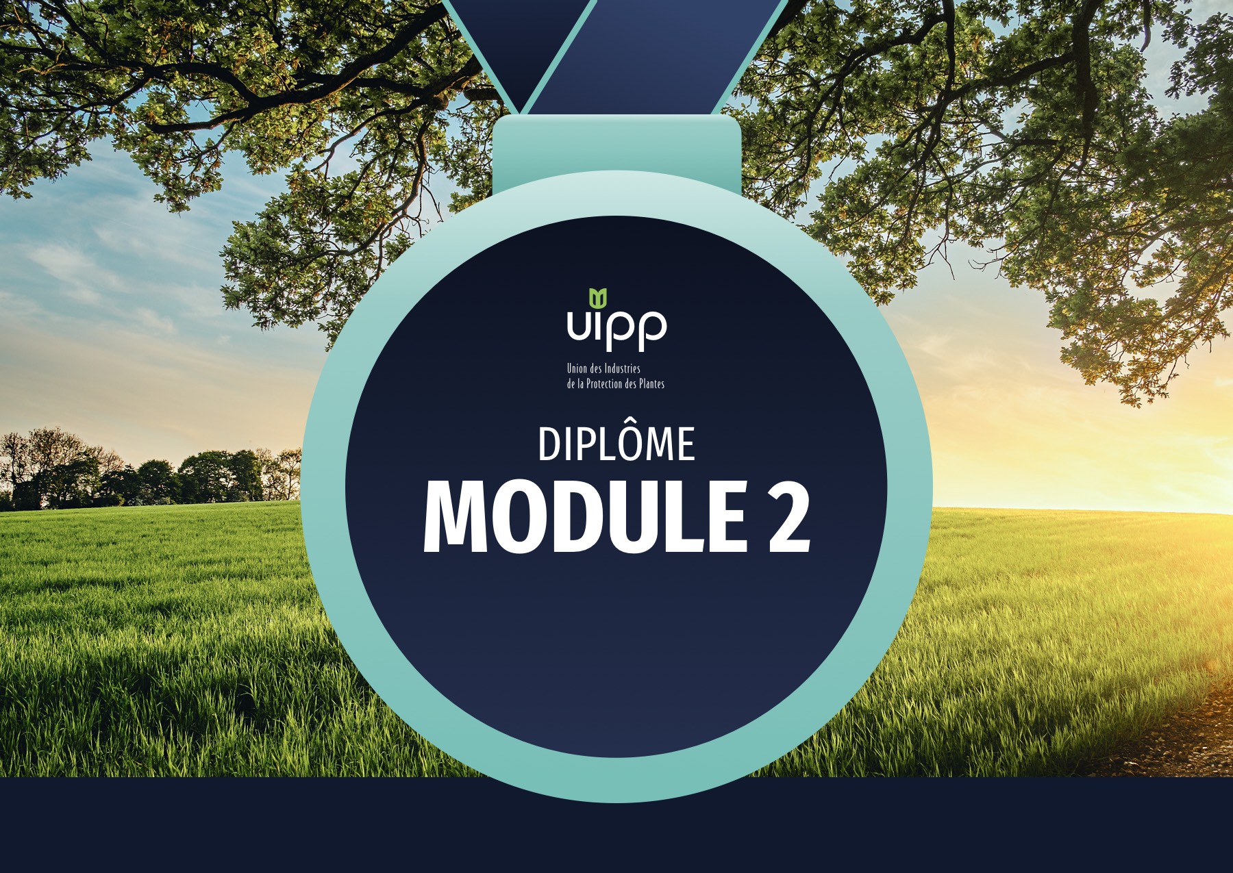 Certificat Module 2 – UIPP